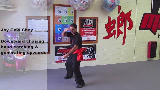 Get the Best Joy Gow Choy- Back Fist with Mantis Kung Fu Online