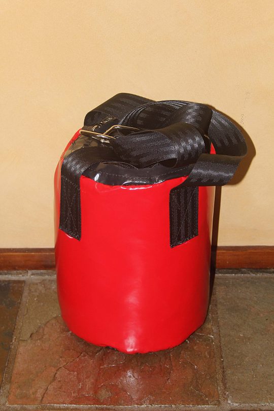 Get the Best Training Bag (Small) with Mantis Kung Fu Online